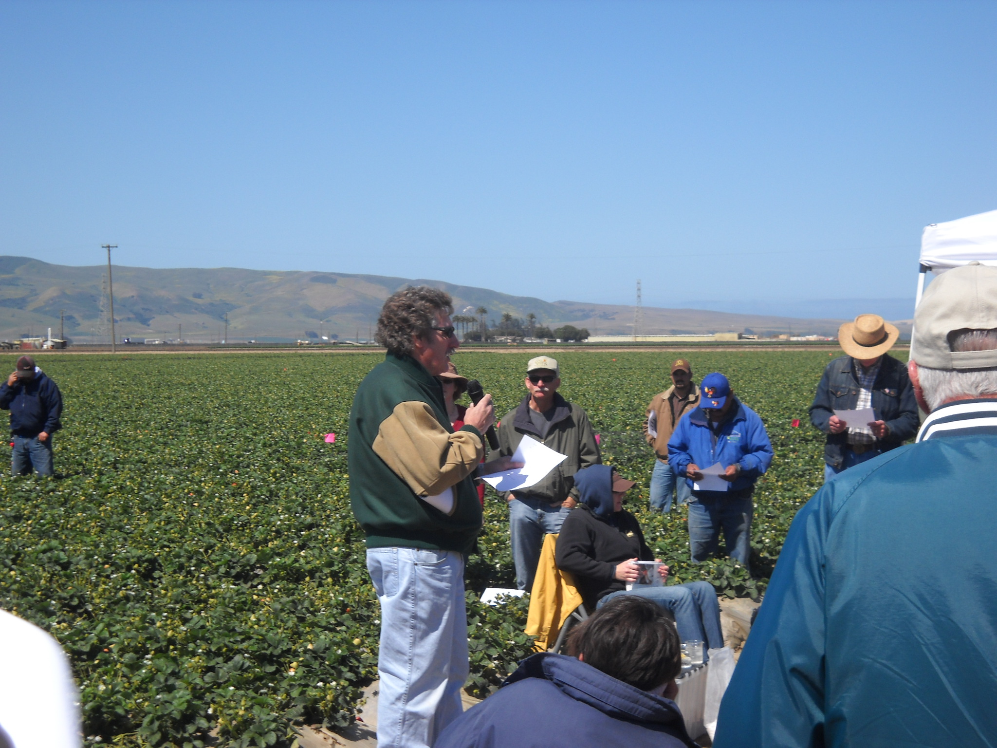 Cal Poly - ITRC - Projects - Drip Irrigation and Salinity on Strawberries